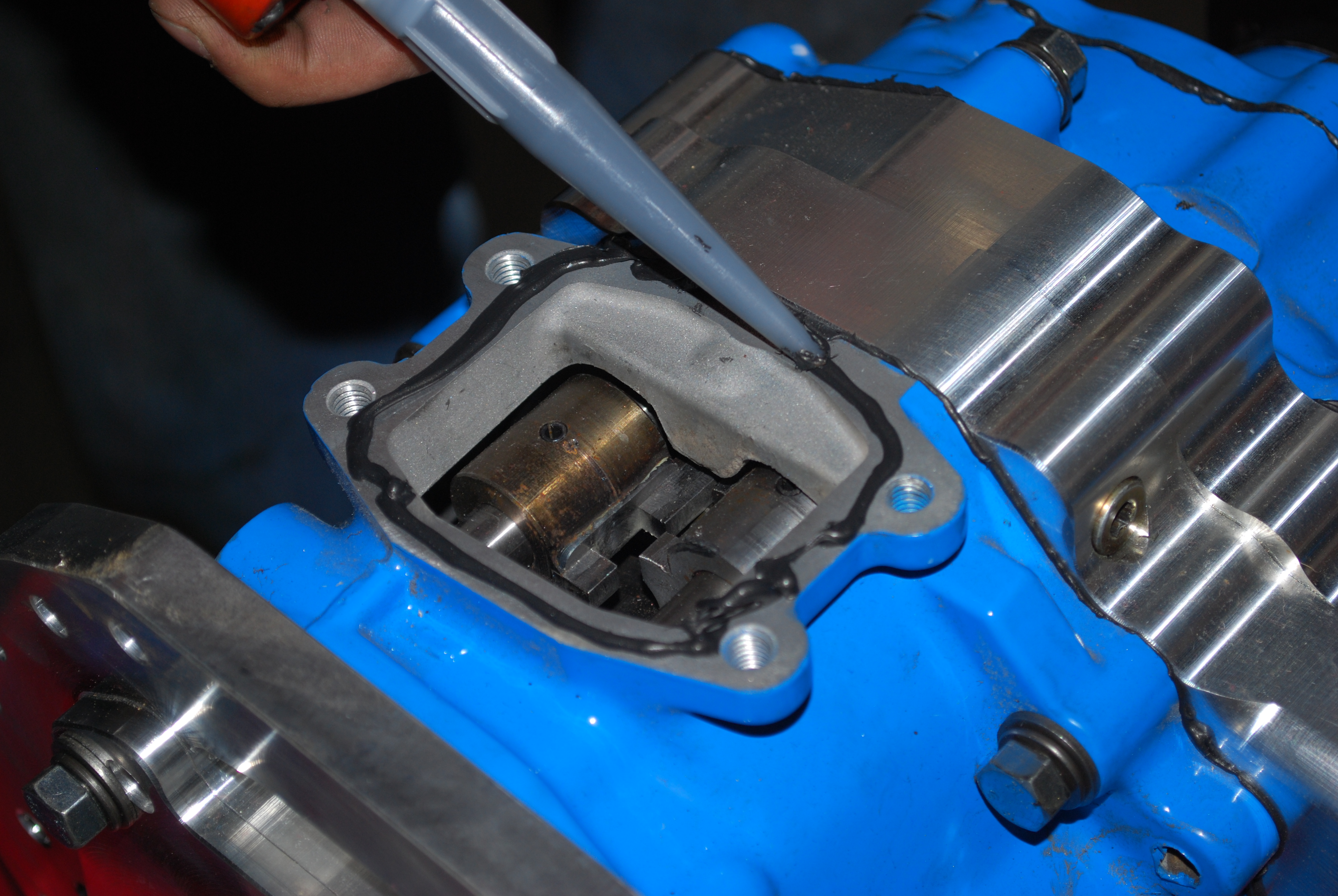 Inchworminstall Dsc 6818